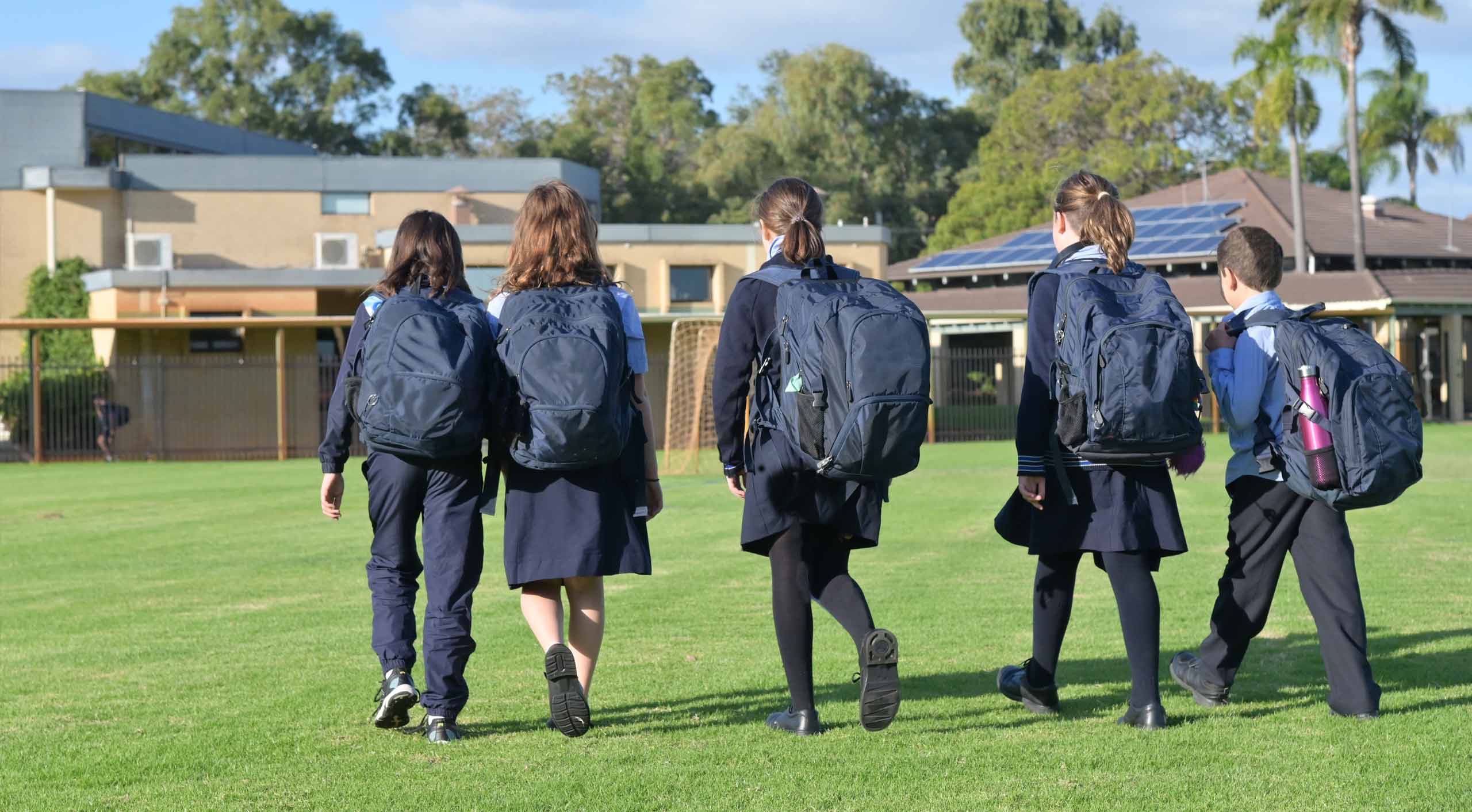 Losing ground in senior secondary - State of the Social Sciences